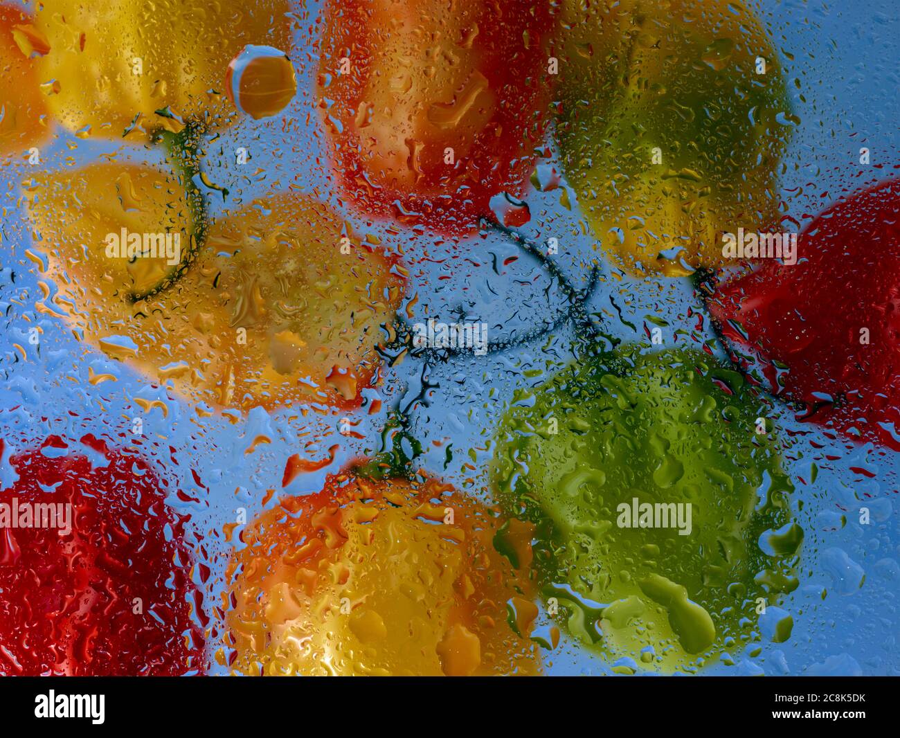 Scotch Bonnet peppers and water droplets on a blue background, food ...
