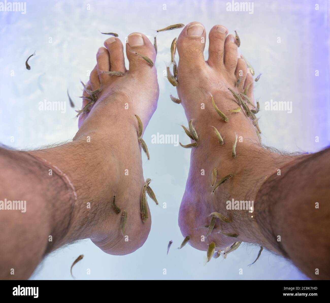 High angle shot of male's feet with small fish swimming around Stock ...