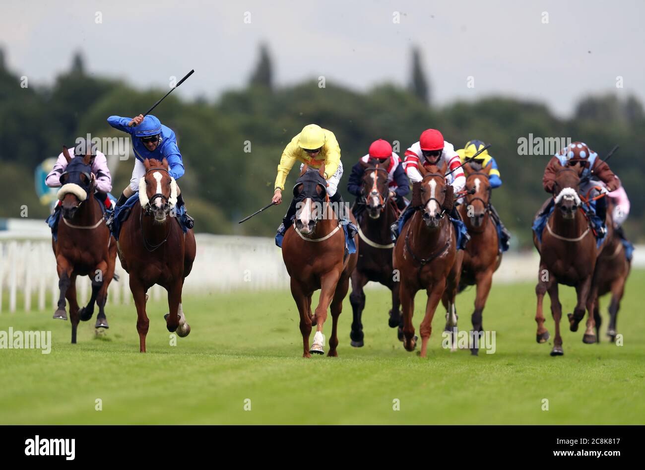 Roundhay park horse hi-res stock photography and images - Alamy