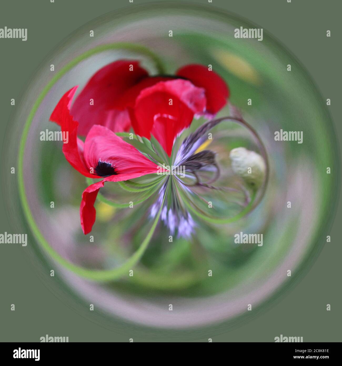 Dots lines orb hi-res stock photography and images - Alamy