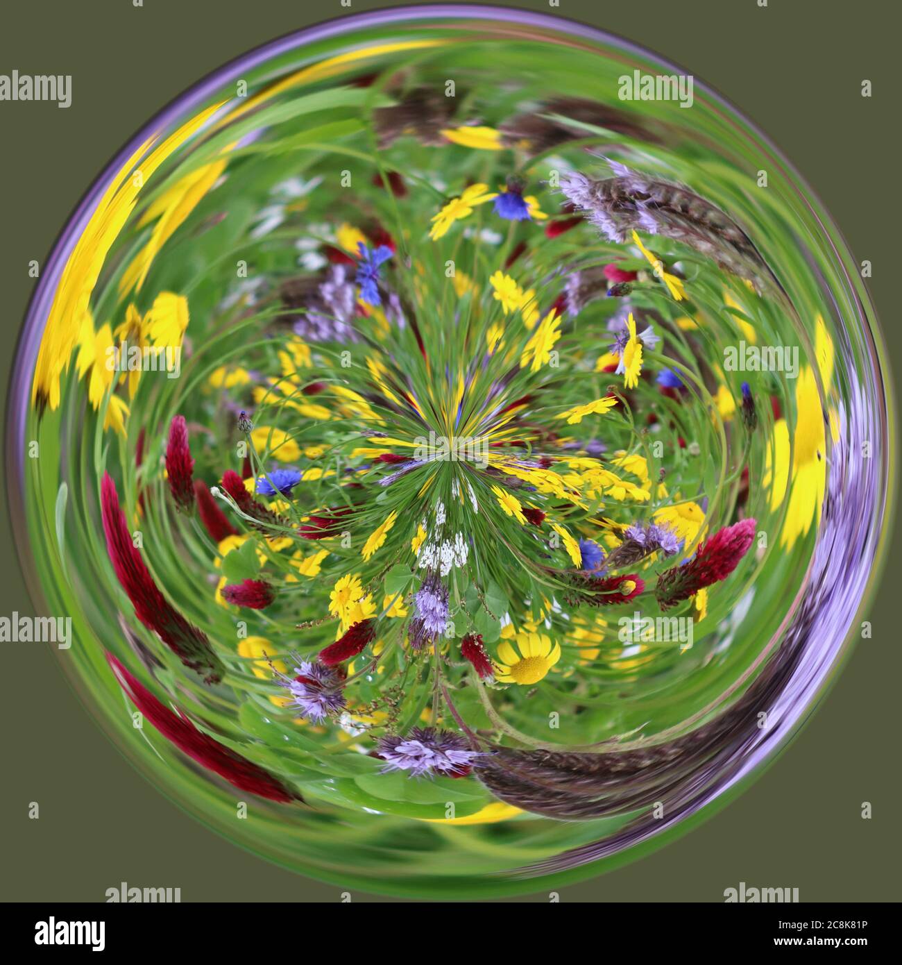 Swirl line orb hi-res stock photography and images - Alamy