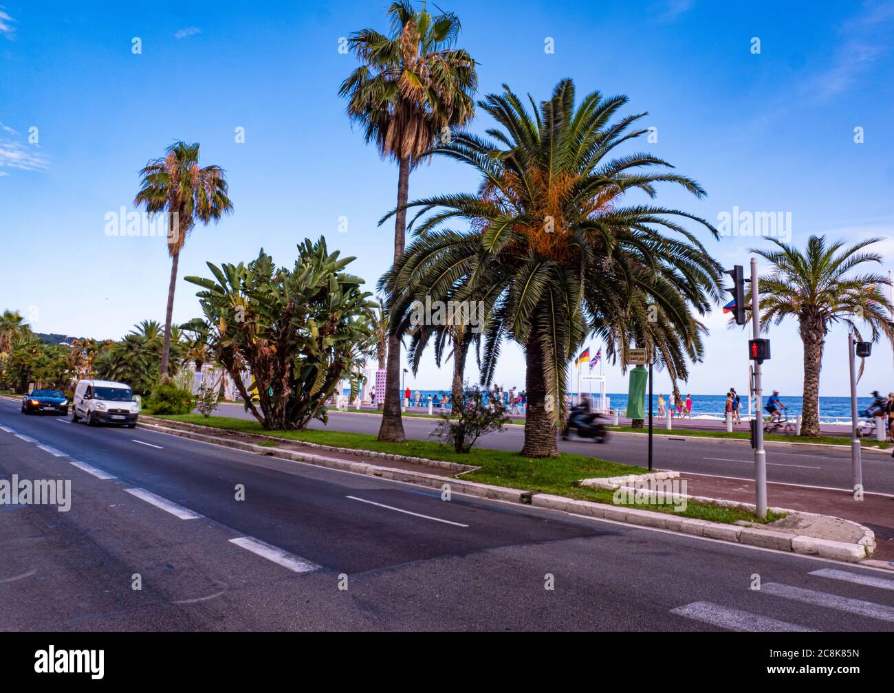 Palm trees at the Riviera of Nice - CITY OF NICE, FRANCE - JULY 10 ...