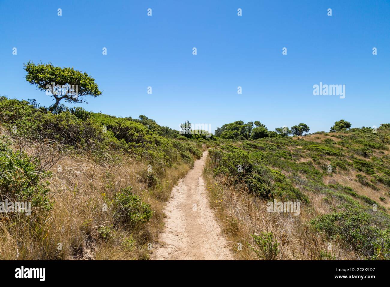 A Pathway on Angel Island State Park in San Francisco Stock Photo - Alamy