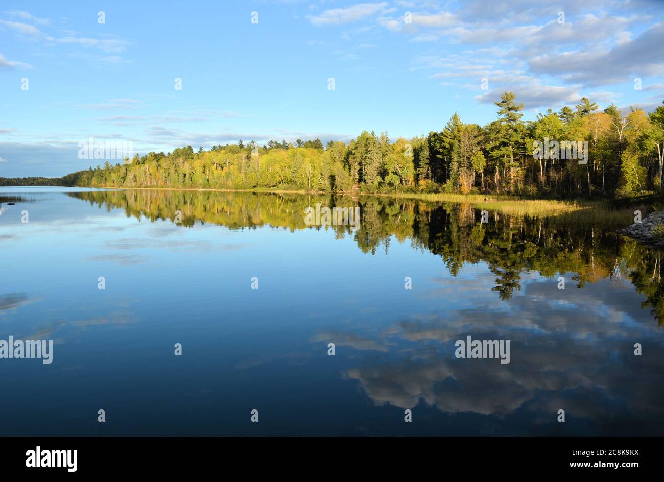 Forest and cumulus clouds reflected in a wilderness lake in northern ...
