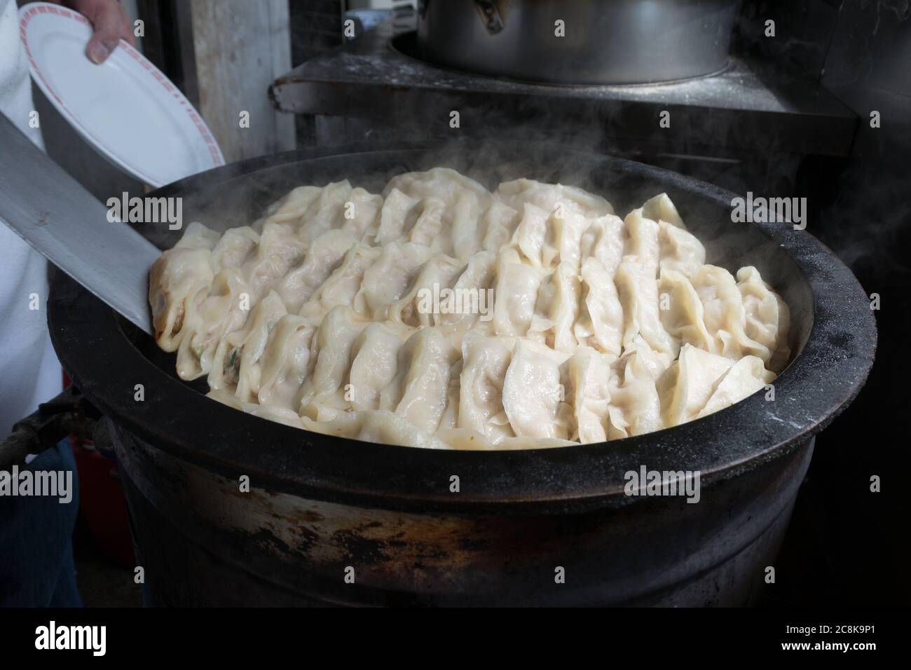 Making homemade Gyoza - taiwan Dumplings in frying pan. Traditional ...