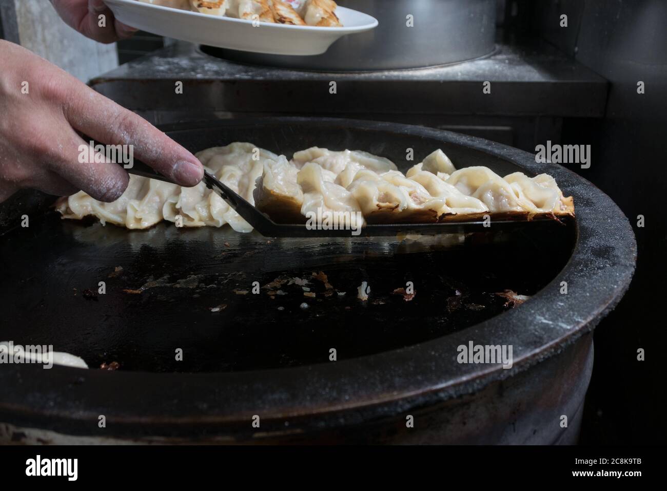 Making homemade Gyoza - taiwan Dumplings in frying pan. Traditional ...