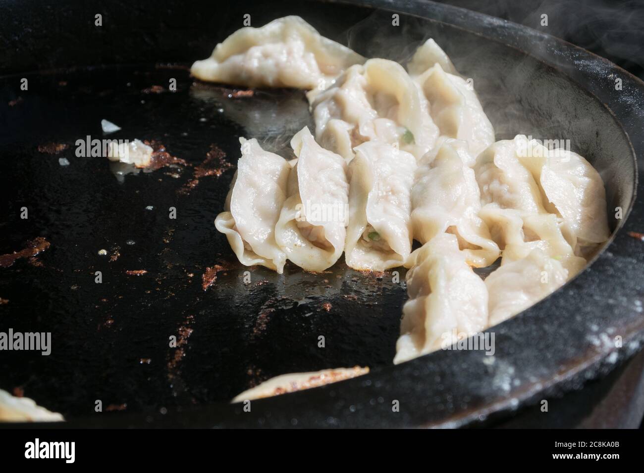 Making homemade Gyoza - taiwan Dumplings in frying pan. Traditional ...