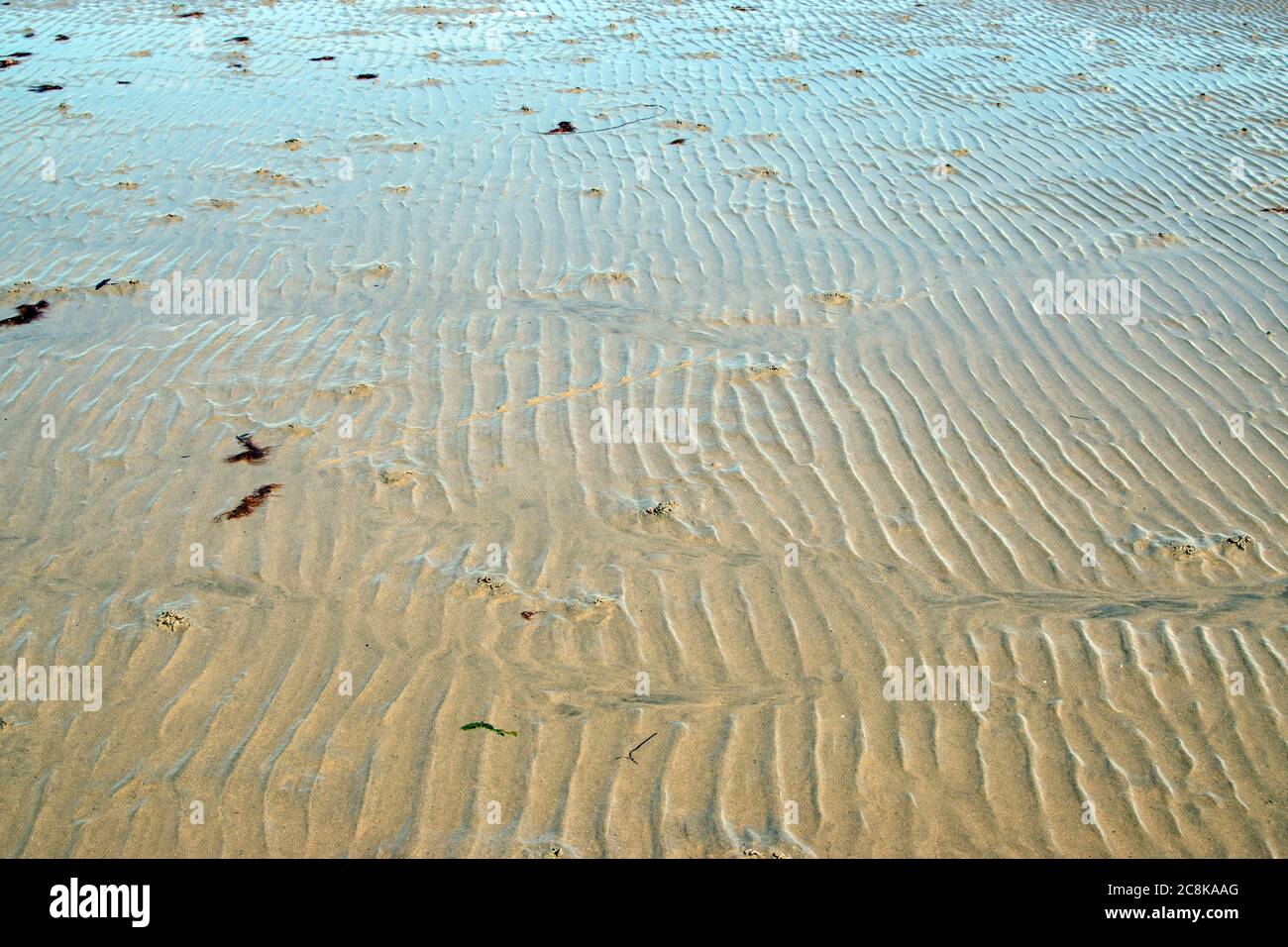 Beach Textures/Ripples in the Sand Stock Photo - Alamy
