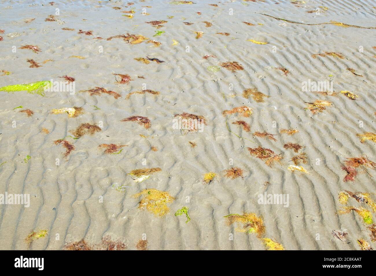Beach Textures/Ripples in the Sand Stock Photo - Alamy