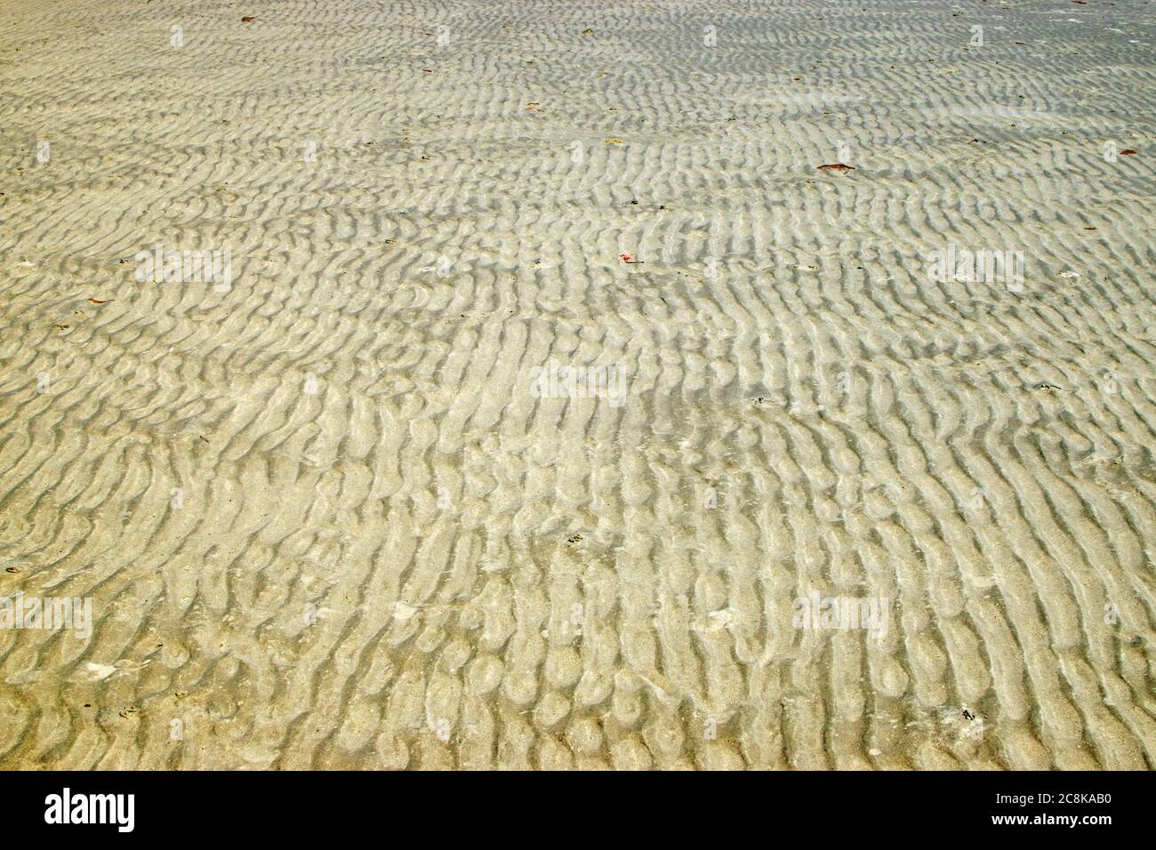 Beach Textures/Ripples in the Sand Stock Photo - Alamy