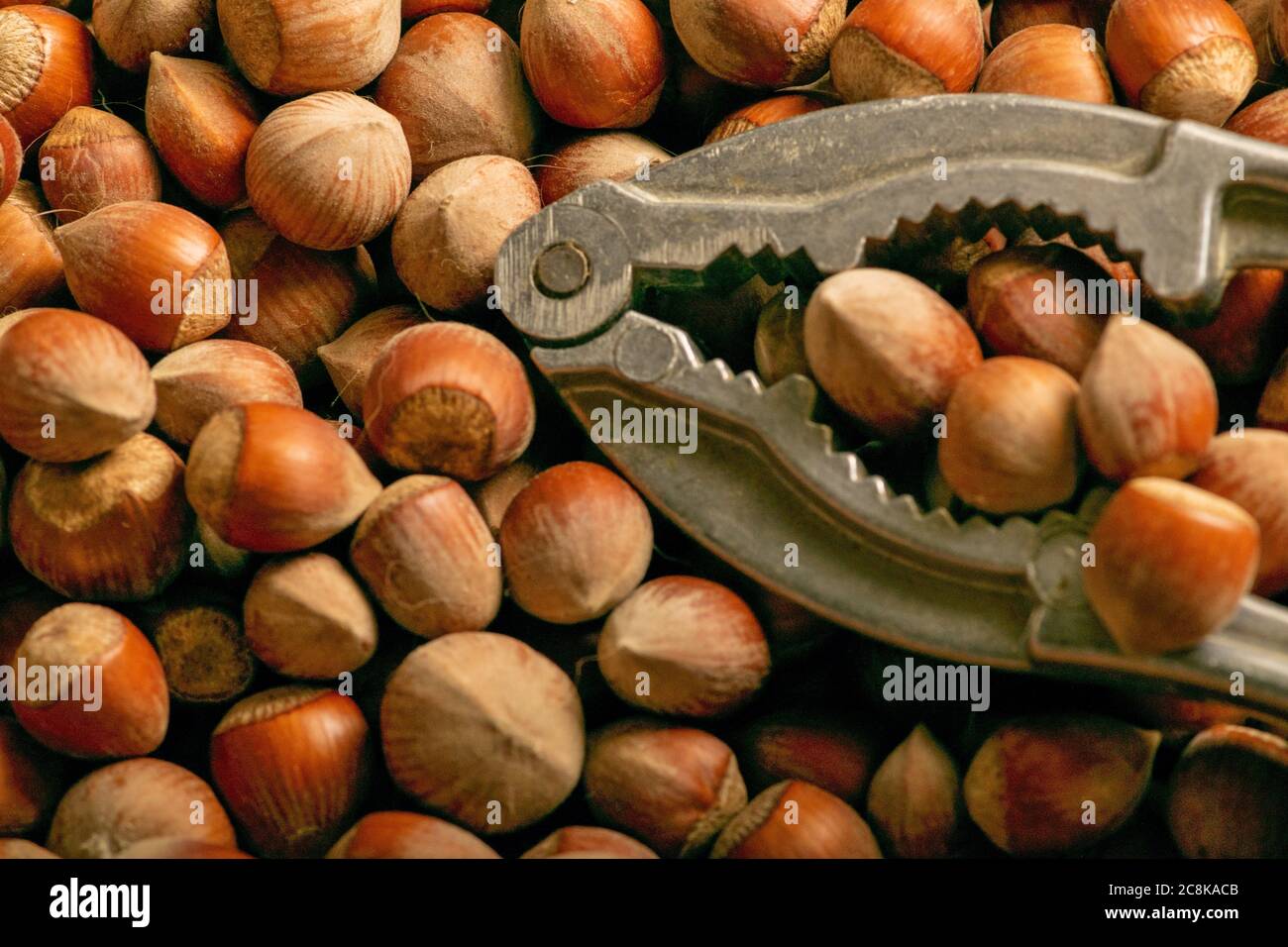 Dark green nutcracker hi-res stock photography and images - Alamy