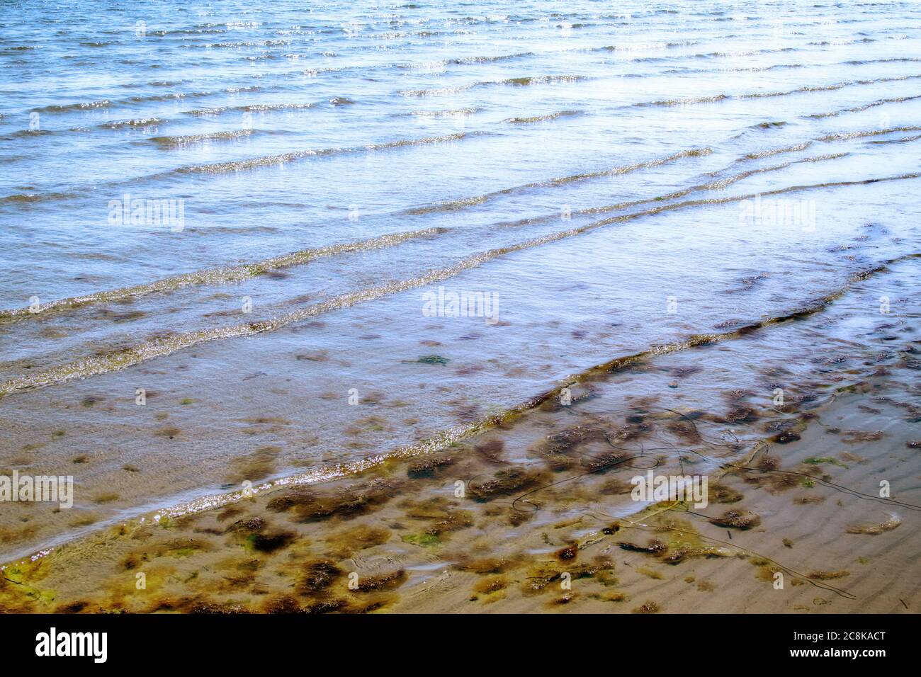 Wavelets at Longrock Beach, Cornwall UK Stock Photo - Alamy