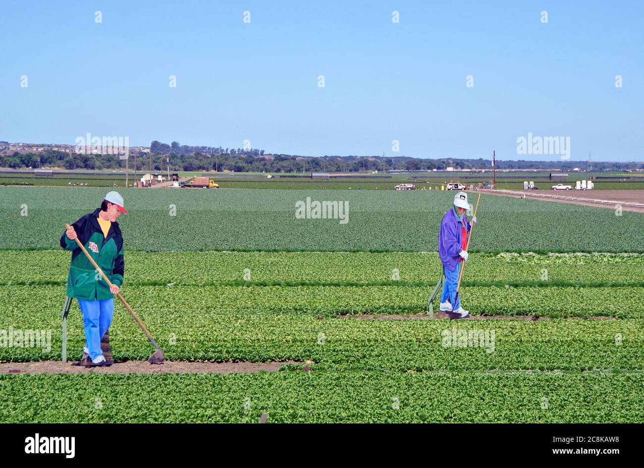 Migrant workers california hi-res stock photography and images - Alamy