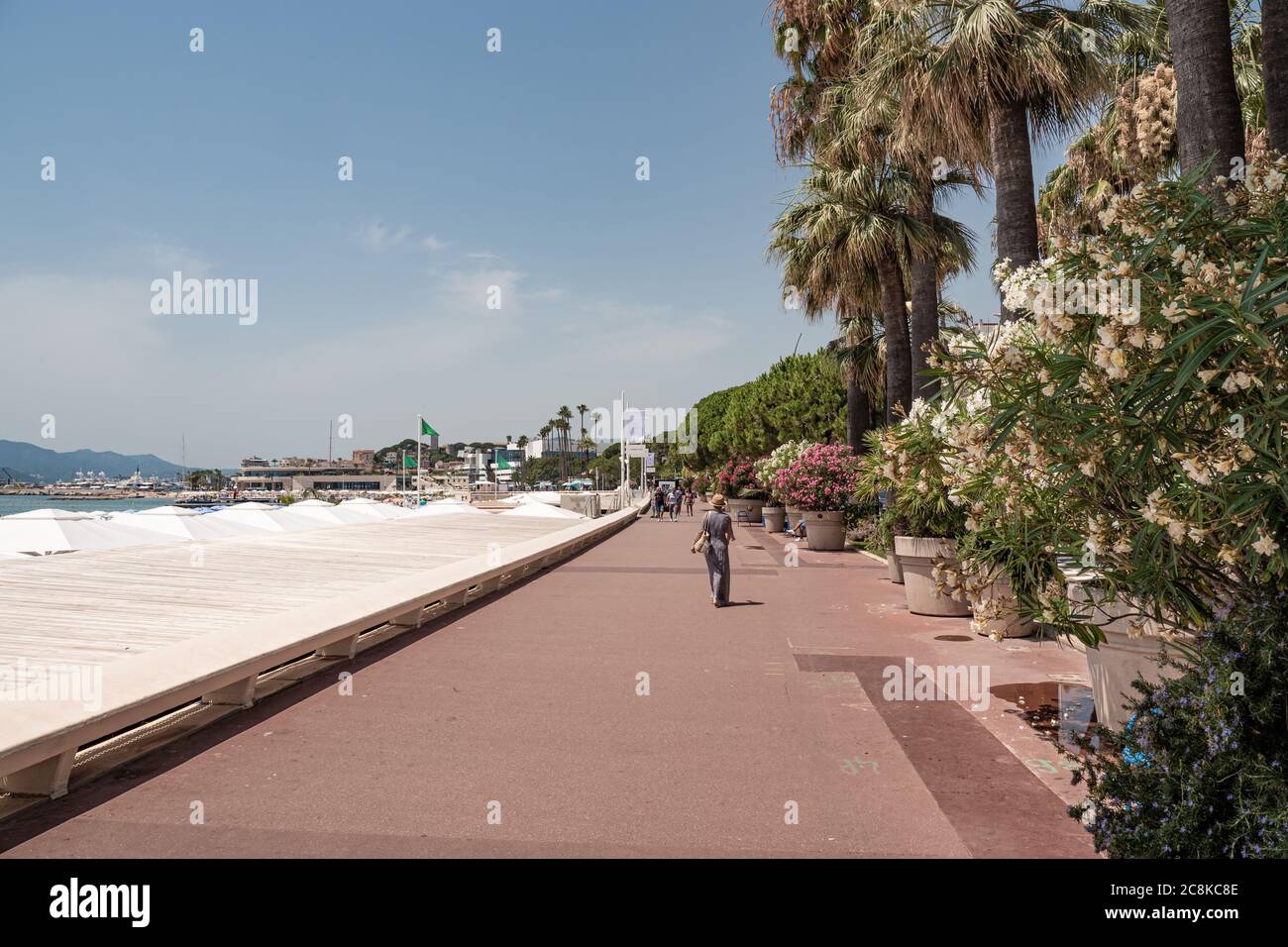 People walking along the Croisette Promenade in Cannes - CITY OF CANNES ...