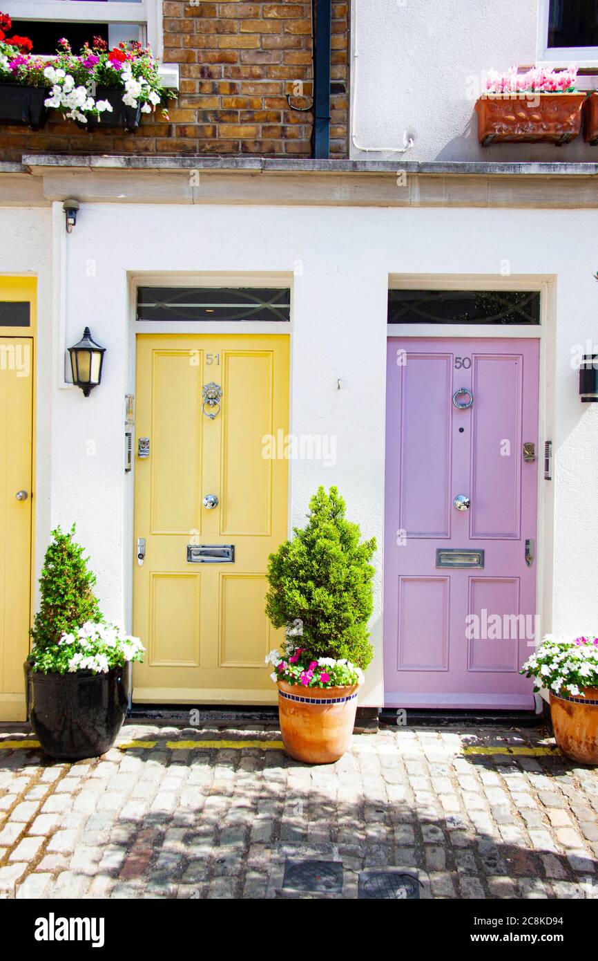 Beatiful and colorful entrance doors of two houses in a London mew ...