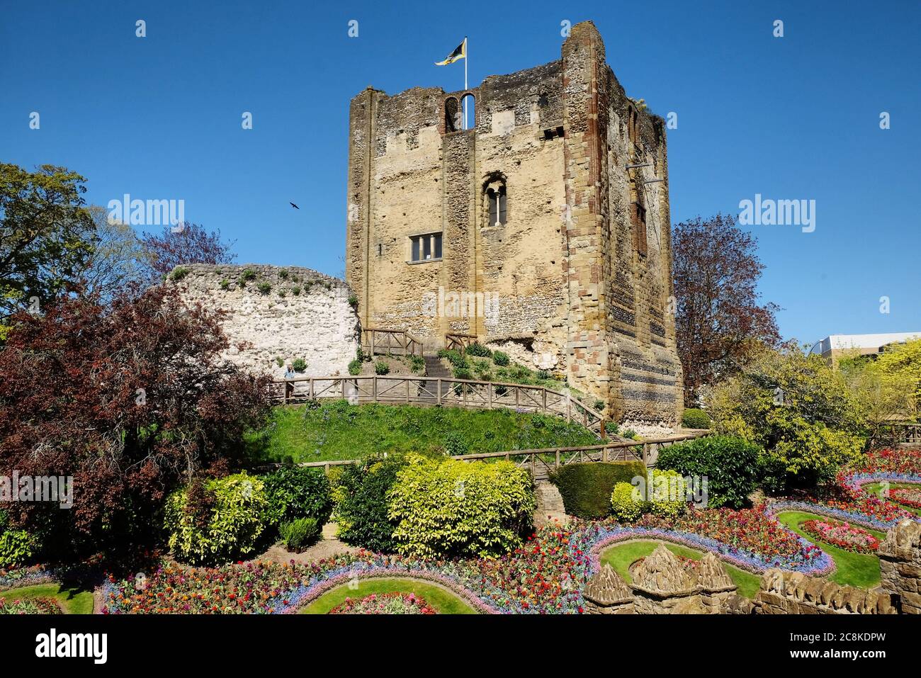 Colourful spring tulips around Guildford Castle, Surrey, on a sunny day ...