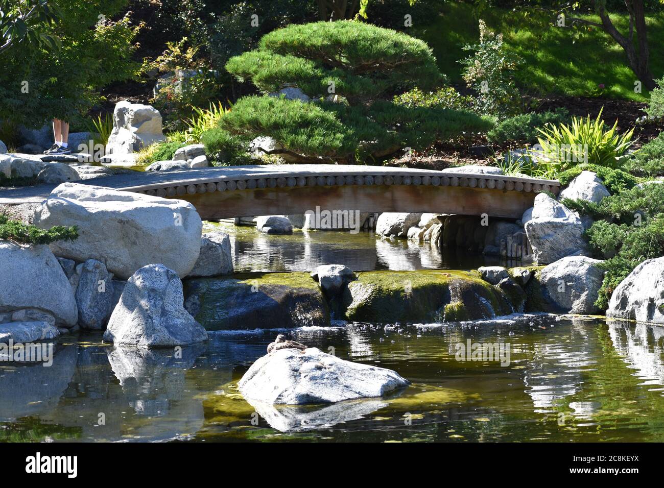 Summer shade japan hi-res stock photography and images - Alamy