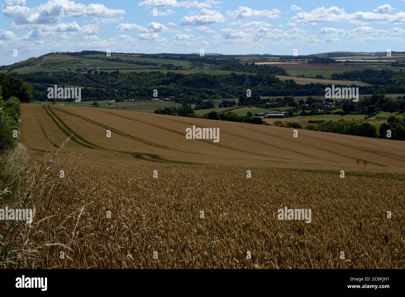 Fields and view from top of south downs overlooking river Arun, West ...