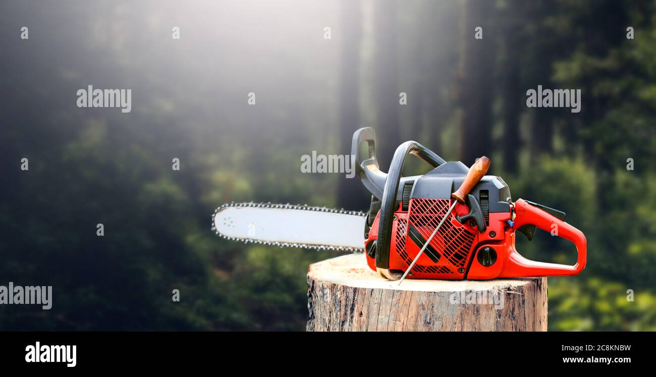 Chainsaw stump hi-res stock photography and images - Alamy