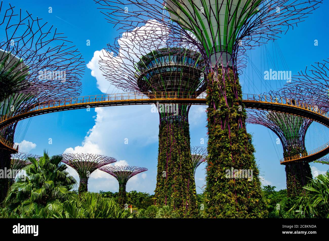 Singapore Tree Bridge Stock Photo - Alamy