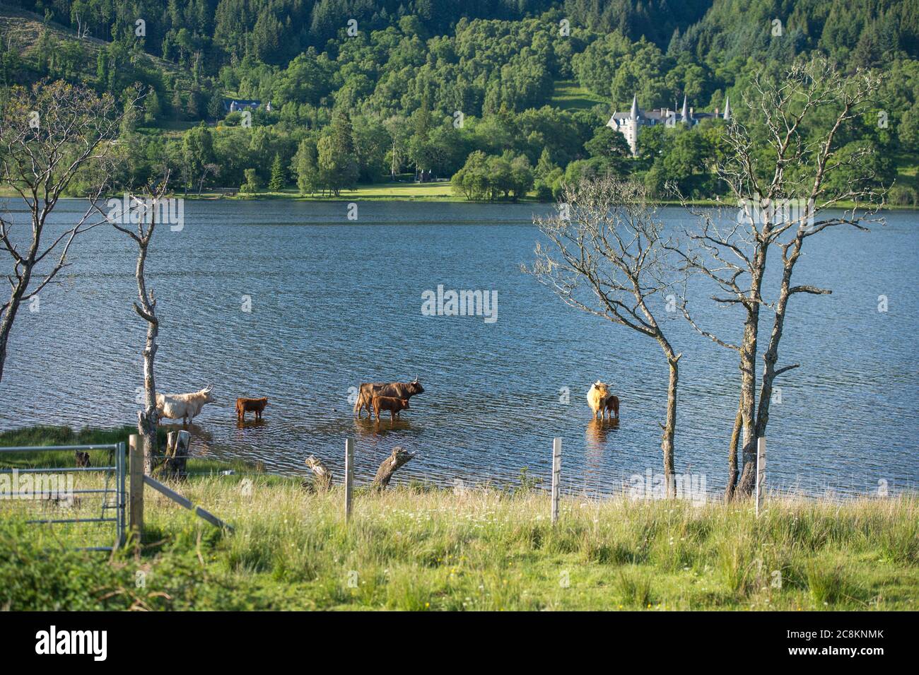 Loch Achray, Loch Lomond and Trossachs National Park, Scotland, UK. 18 ...