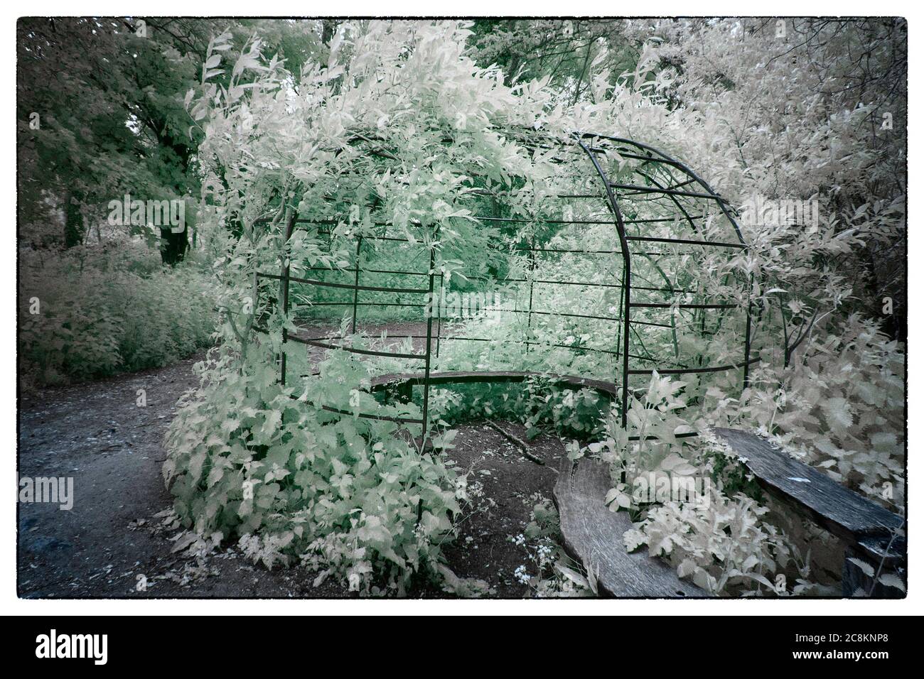 Thatcham lakes hi-res stock photography and images - Alamy