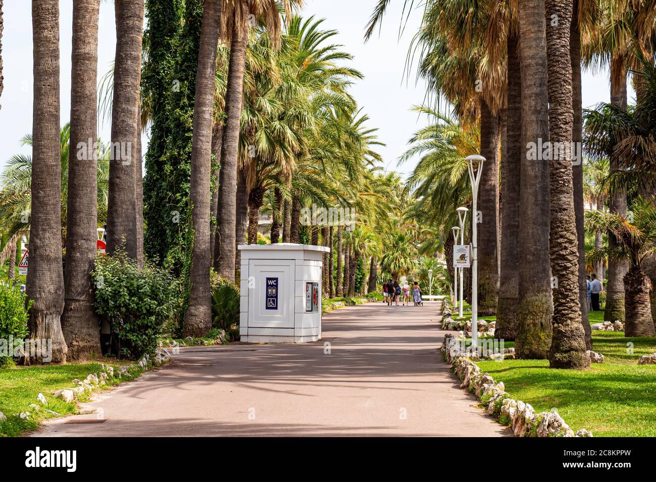 Beautiful park with palm trees in the city of Cannes at the Croisette ...