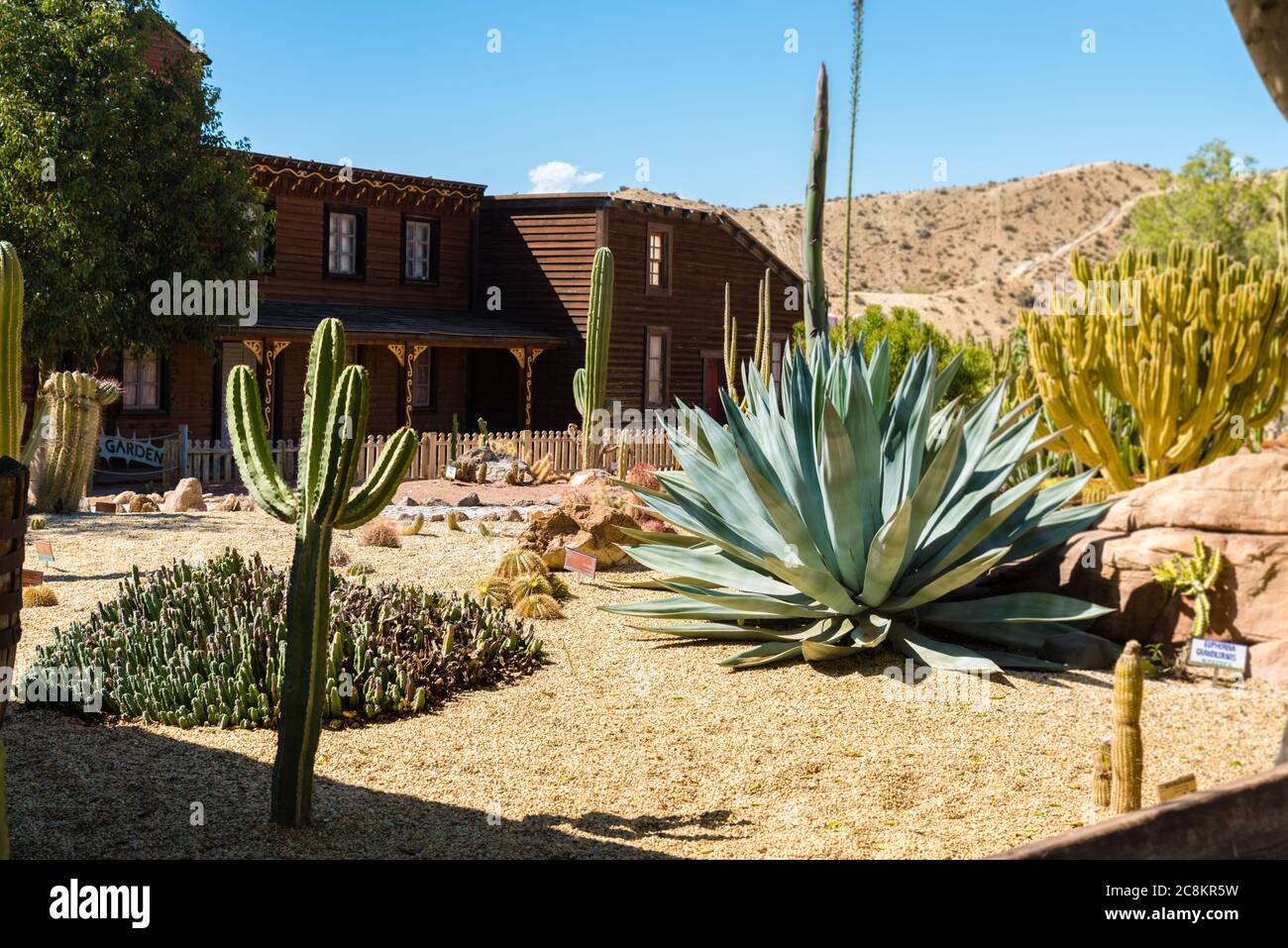 Cacti cultivation hi-res stock photography and images - Alamy