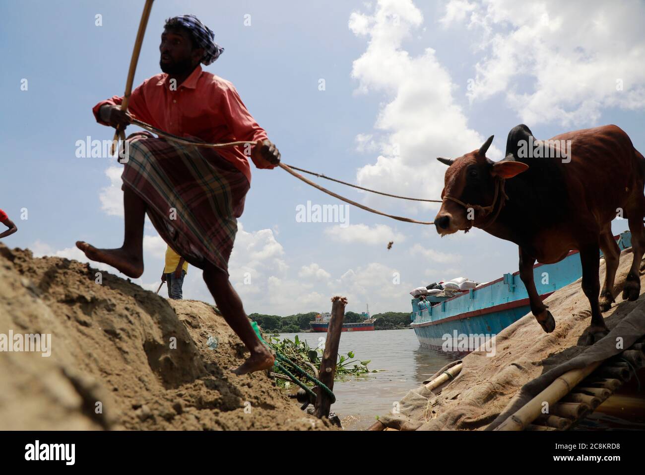 Unloading cattle hi-res stock photography and images - Alamy