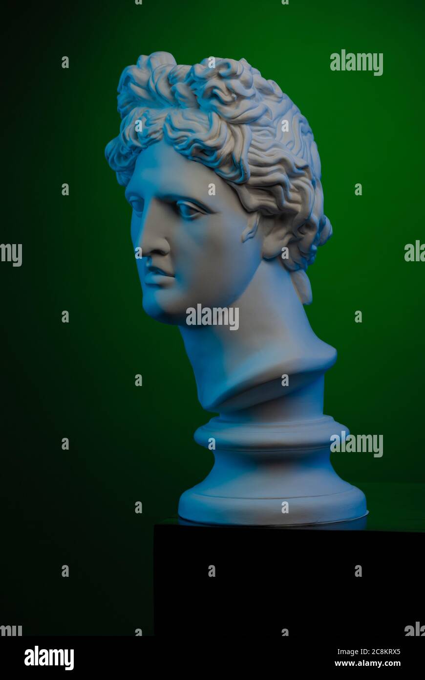 Plaster statue of a bust of Apollo Belvedere in blue local light on a ...