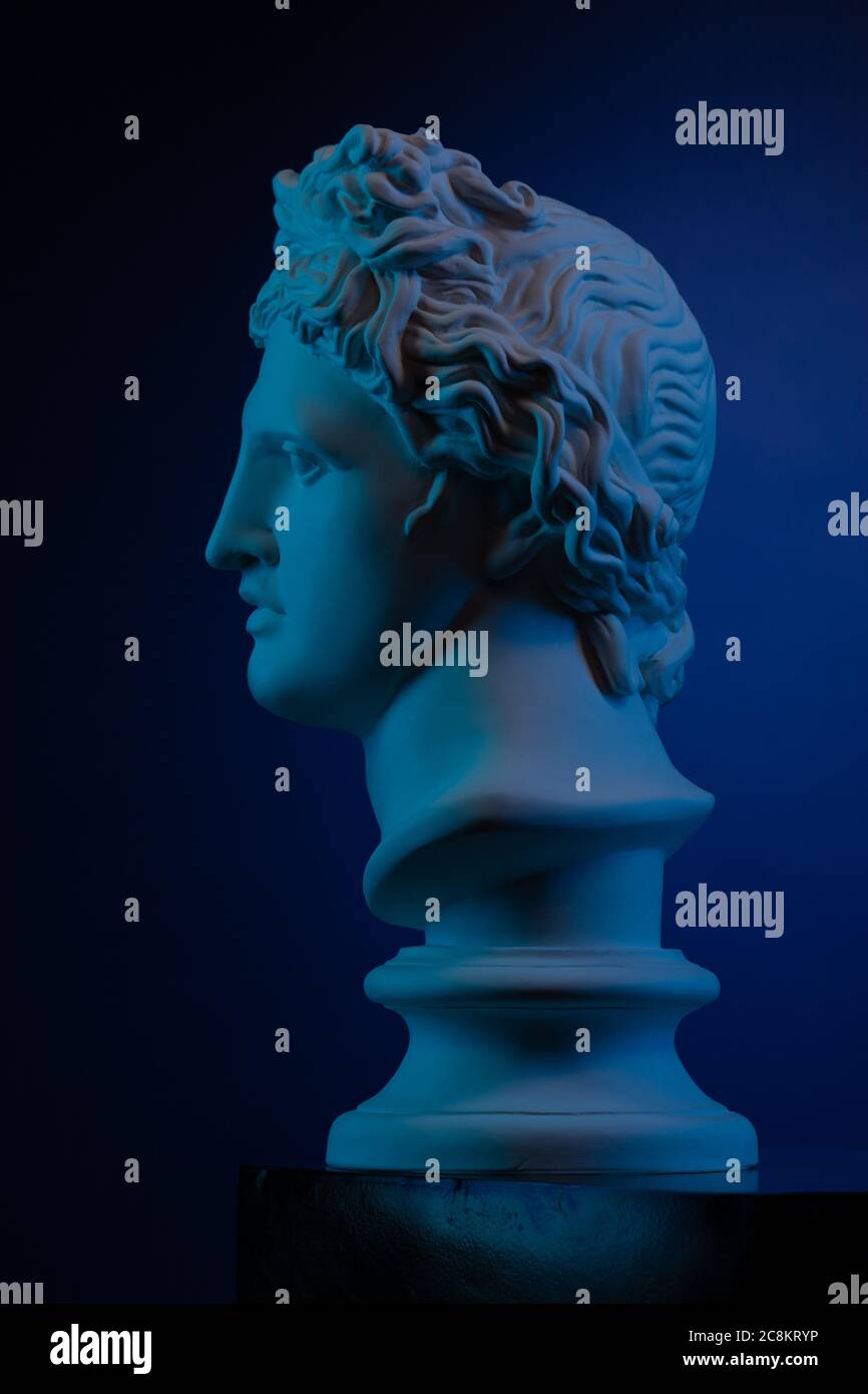 Plaster statue of a bust of Apollo Belvedere in blue local light on a ...