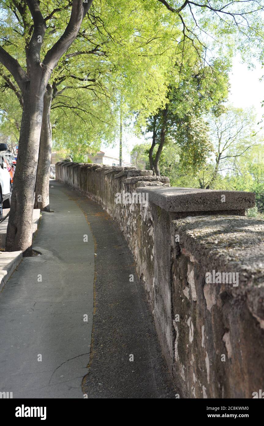 Green corridor of trees hi-res stock photography and images - Alamy