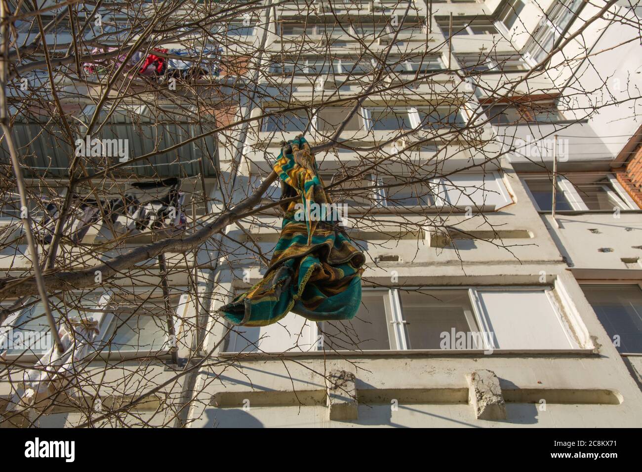 Environmental problems and plastic hi-res stock photography and images ...