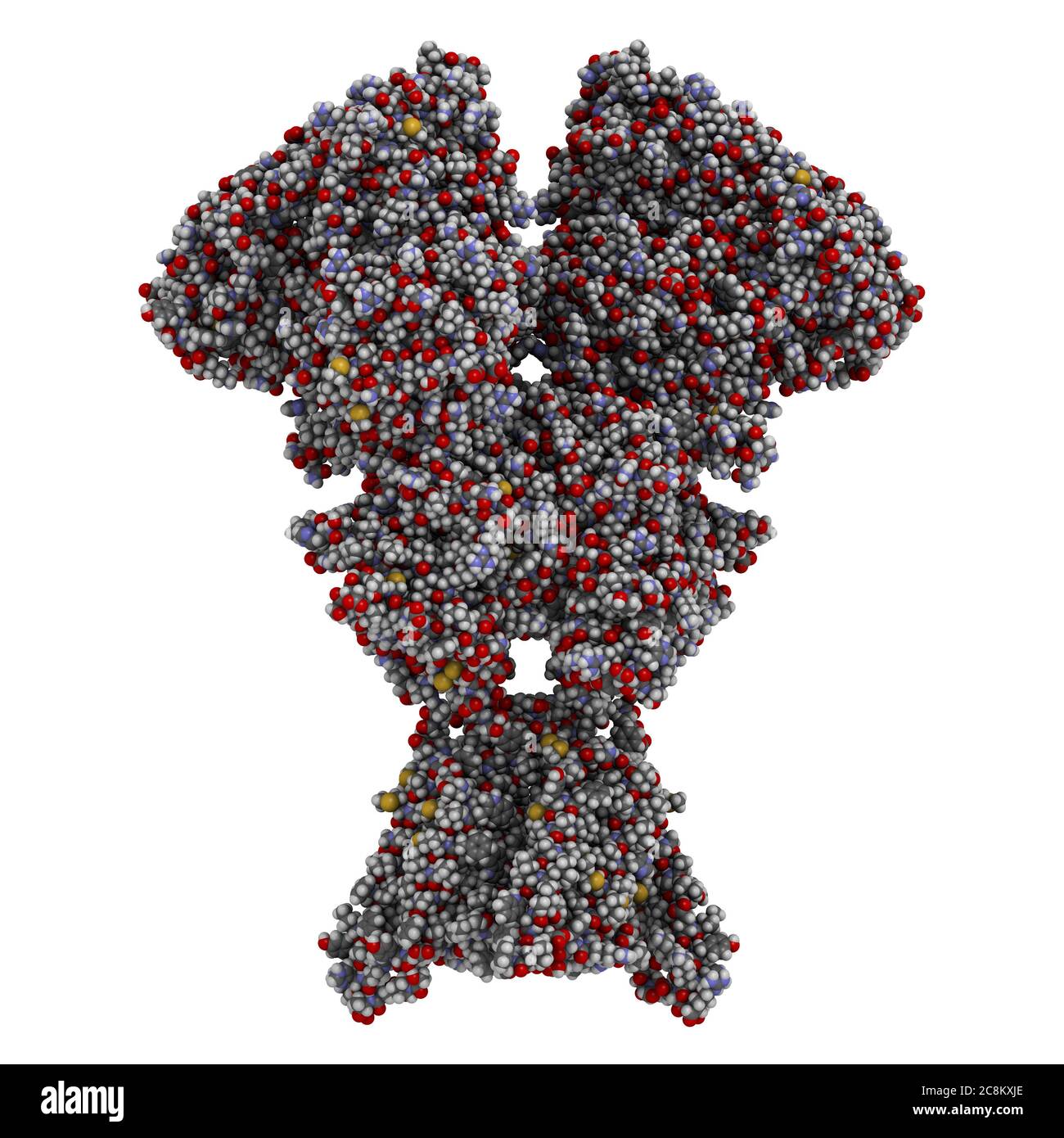 Cryo em protein hi-res stock photography and images - Alamy