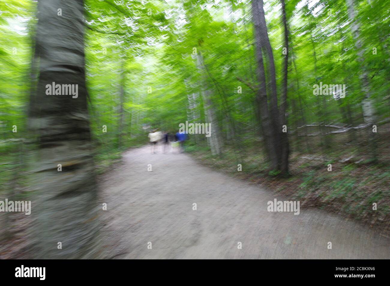 Pyramid Point Hiking Trail, Sleeping Bear Dunes National Lakeshore ...