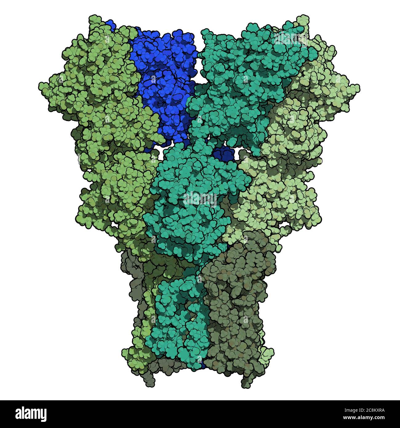 Glutamate Receptor Structure
