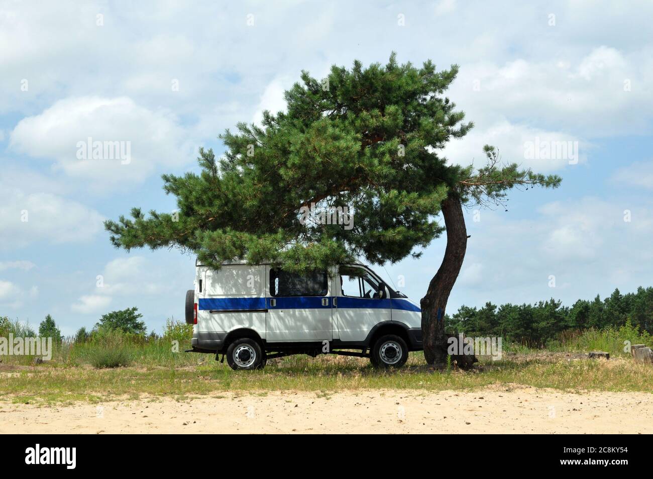 A police van under a lonely pine tree. Public order protection Stock ...