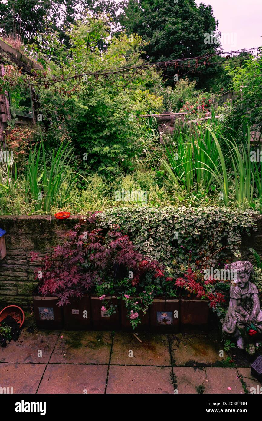 A overview shot of the garden and how all the plants have naturally ...