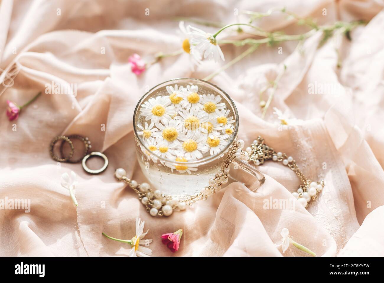 Daisy aesthetic hi-res stock photography and images - Alamy