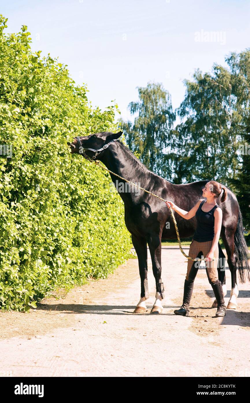 Thoroughbred horse owner hi-res stock photography and images - Alamy