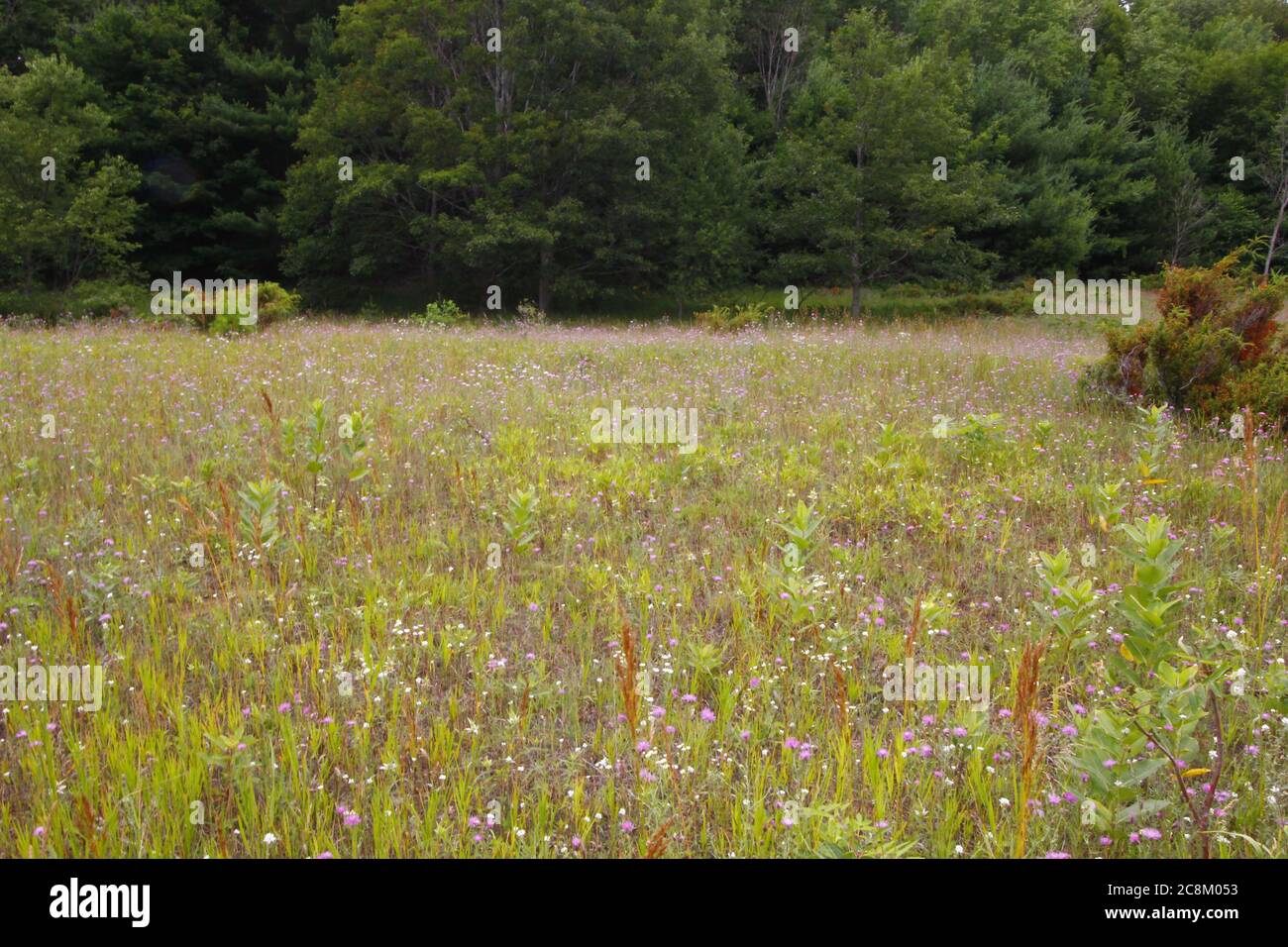 Pyramid Point, Sleeping Bear Dunes National Lakeshore, Michigan Stock ...