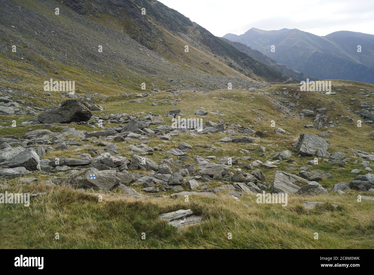 Rocky environment hi-res stock photography and images - Alamy