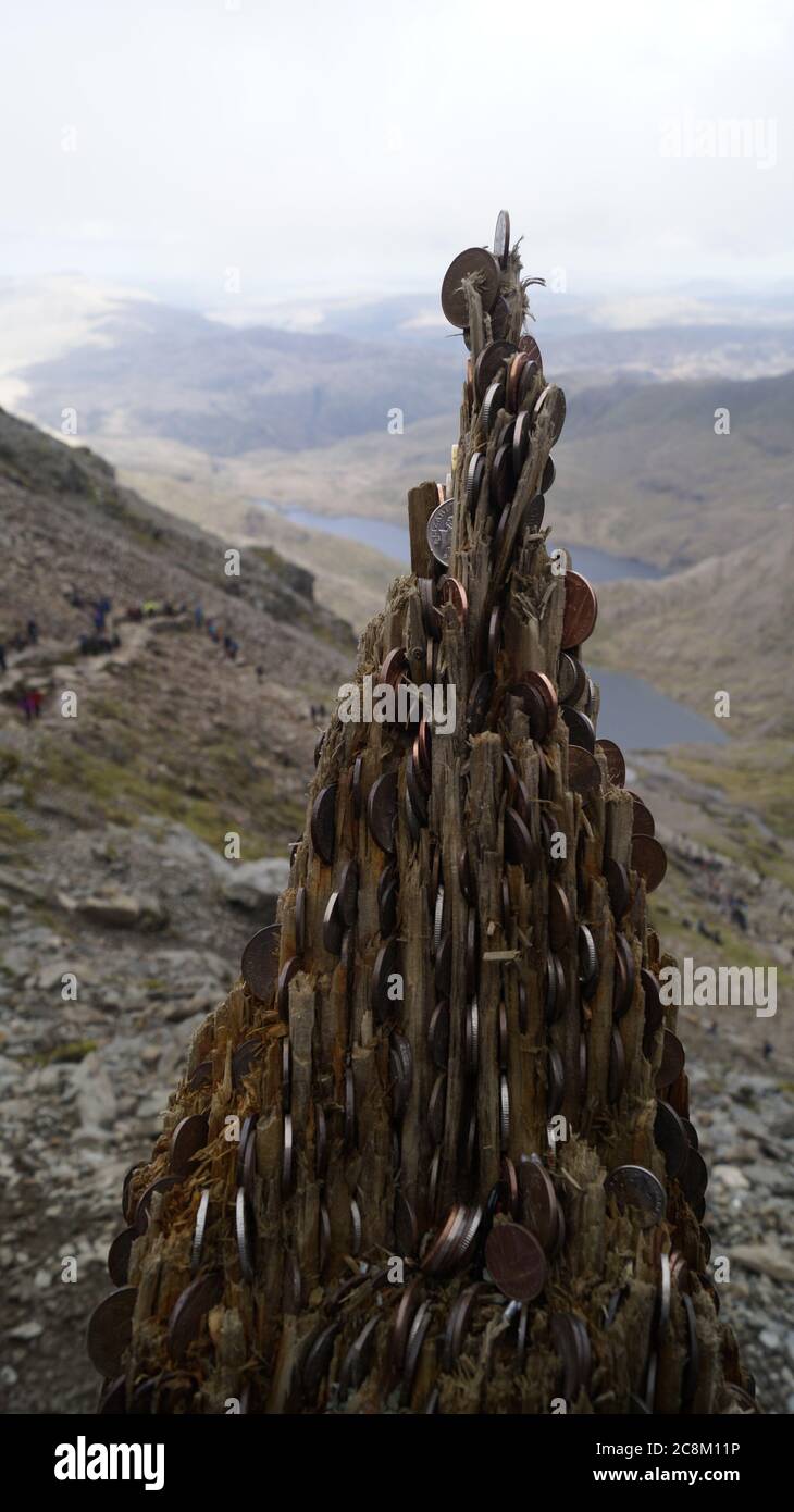 Coins stuck in tree trunk Stock Photo - Alamy
