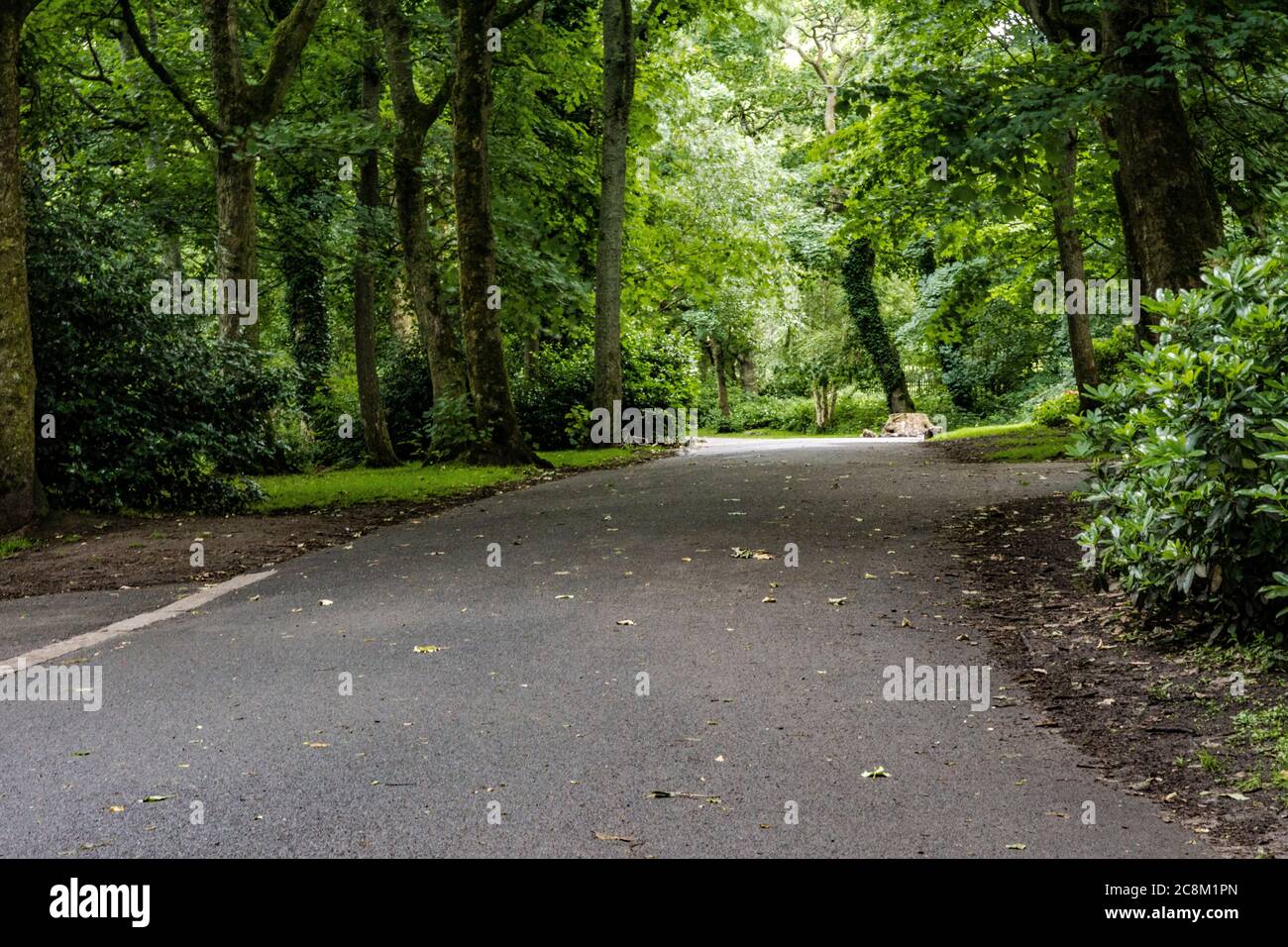 Beautiful nature shot of Taylor park within the woodland area Stock ...