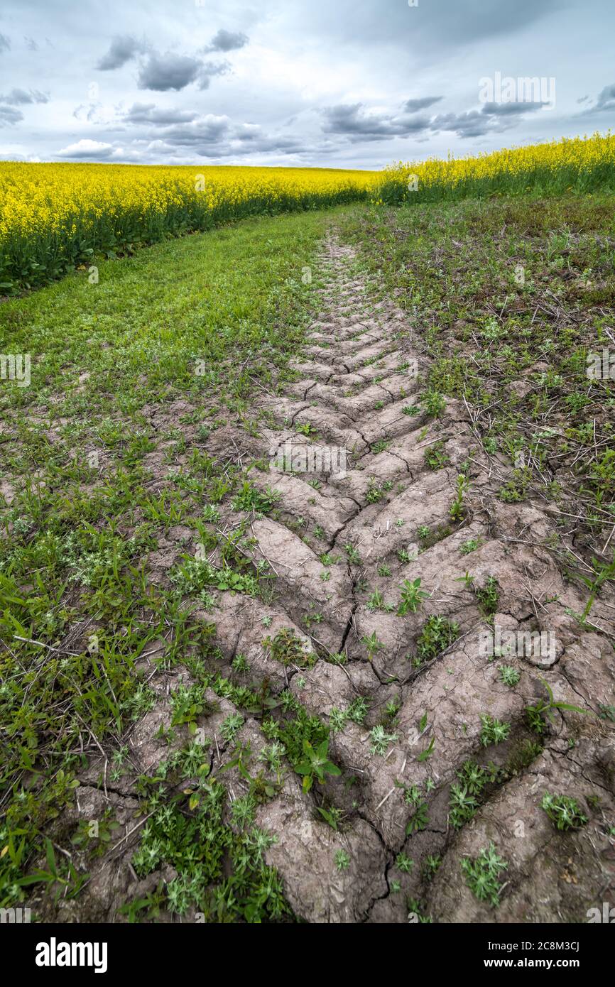 Agriculture sand tracks hi-res stock photography and images - Alamy