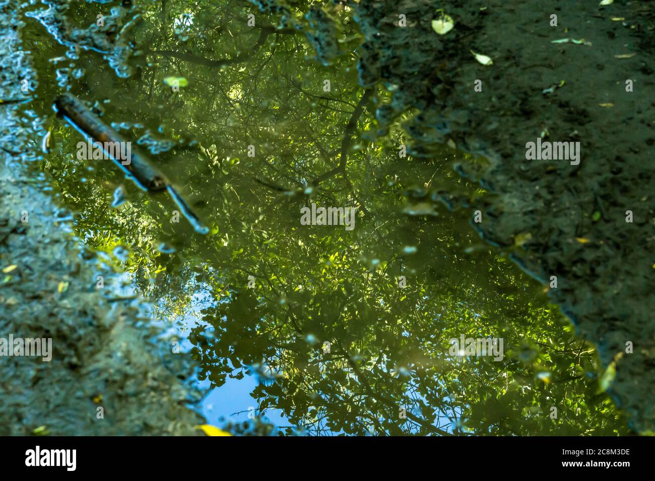 An abstract photo of the water reflecting the surrounding landscape ...