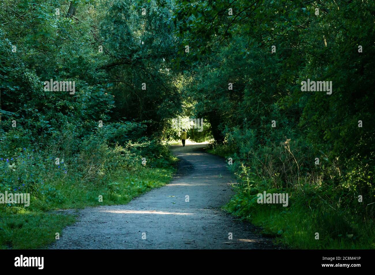 One's path is never straight forward. Exploring nature and clearing the ...