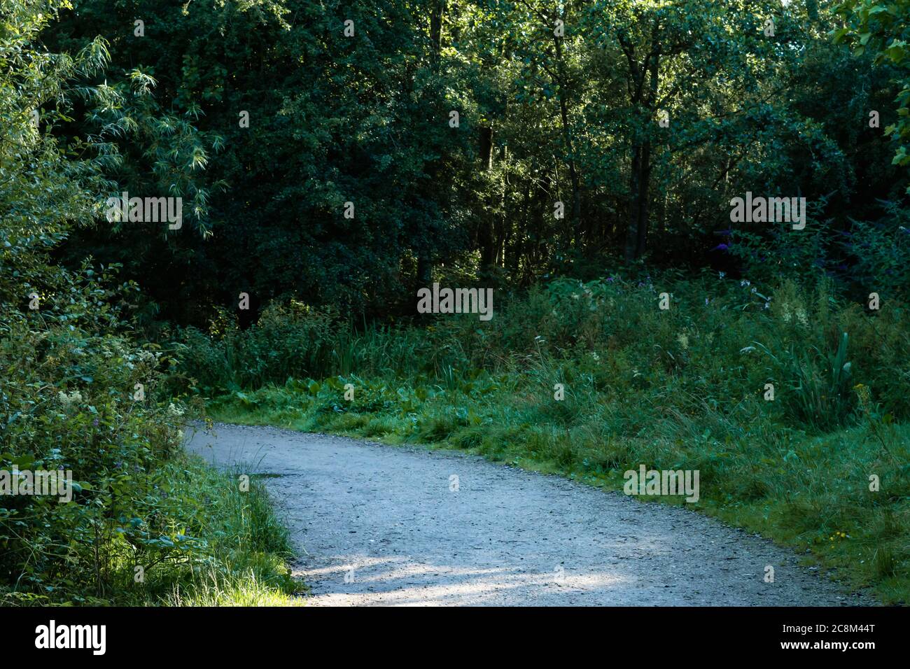 One's path is never straight forward. Looking at the different paths is ...