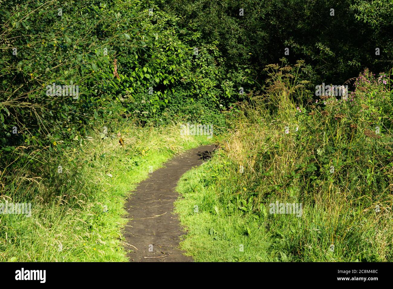 Different paths hi-res stock photography and images - Alamy