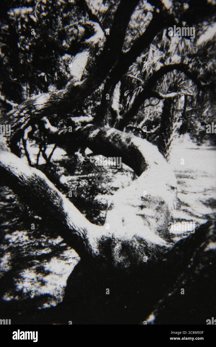 Fine 70s vintage black and white lifestyle photography of a piece of ...